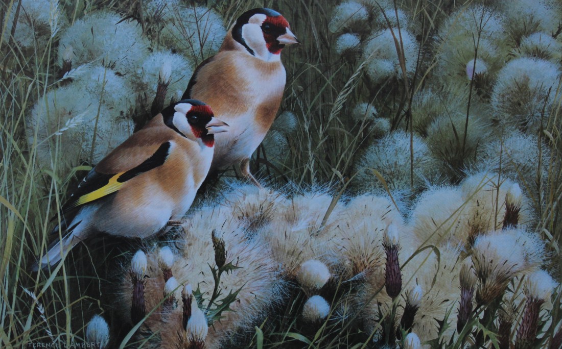 Terence Lambert - Wildlife Artist